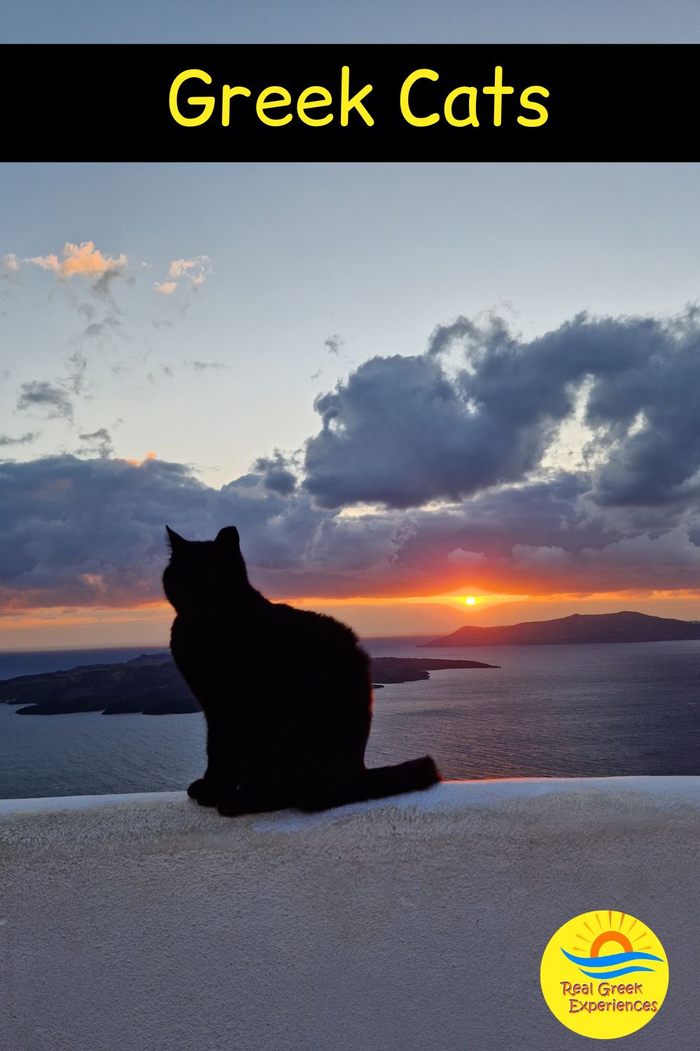 Why Are There So Many Cats In Greece?
