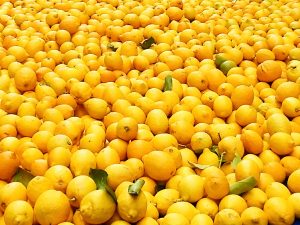 Greek Drinks To Try During Your Vacation In Greece