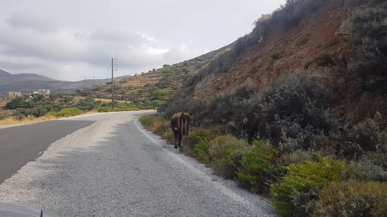 Driving In Greece - A Local's Essential Tips On Greek Driving