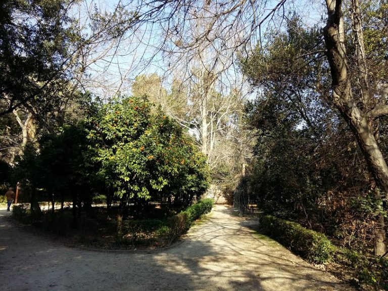 The National Garden Athens - Botanical Gardens Guide