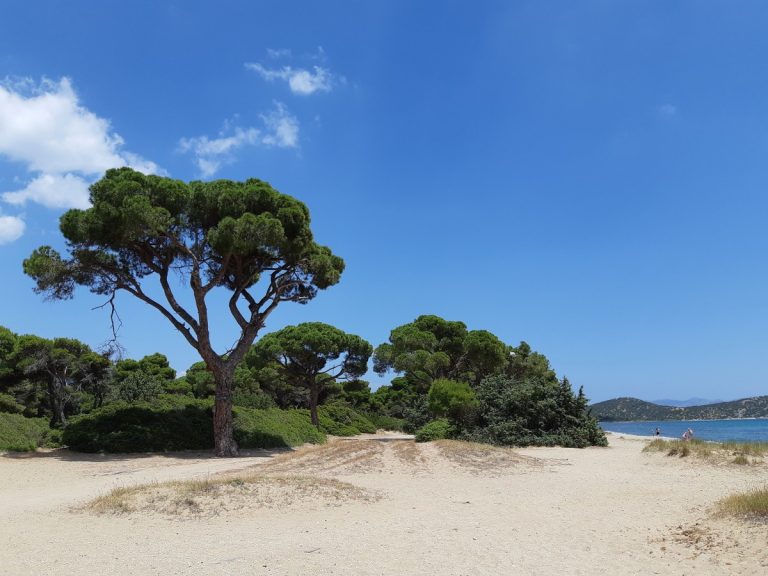 10 Popular Day Tours From Athens Greece 2024