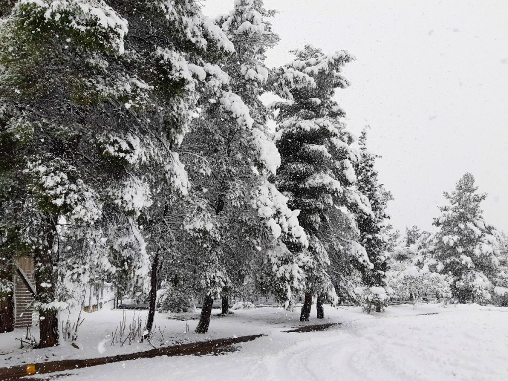 Christmas in Greece - What To Do, Where To Go, What To Eat