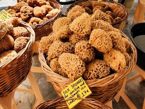 Ten Best Things To Do In Symi Island, Greece