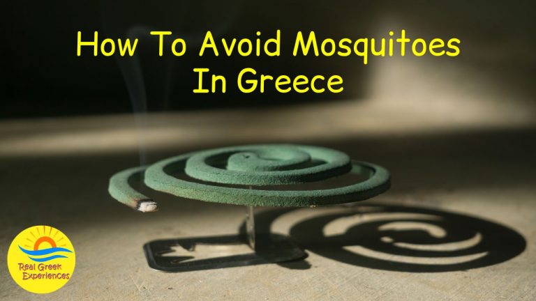 Mosquitoes In Greece: How To Survive During Your Greek Vacation