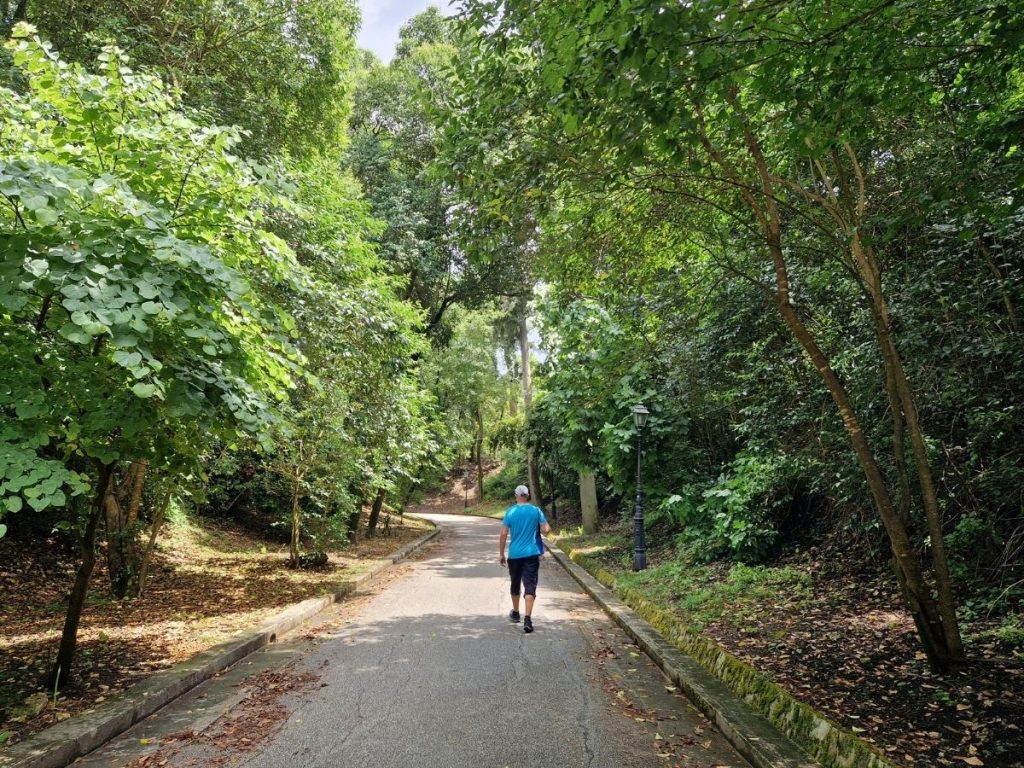 Where Is Corfu And What To Do And See In 2025