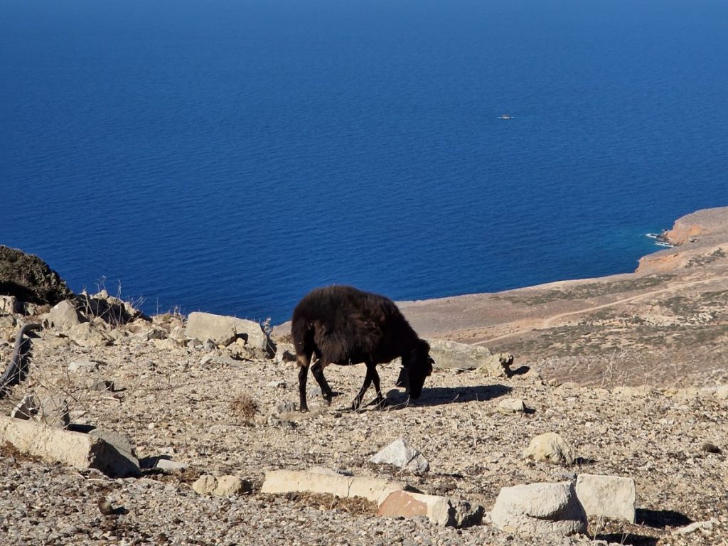 Kasos Greece: The Ultimate Travel Guide