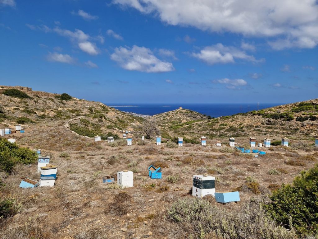 Kasos Greece: The Ultimate Travel Guide